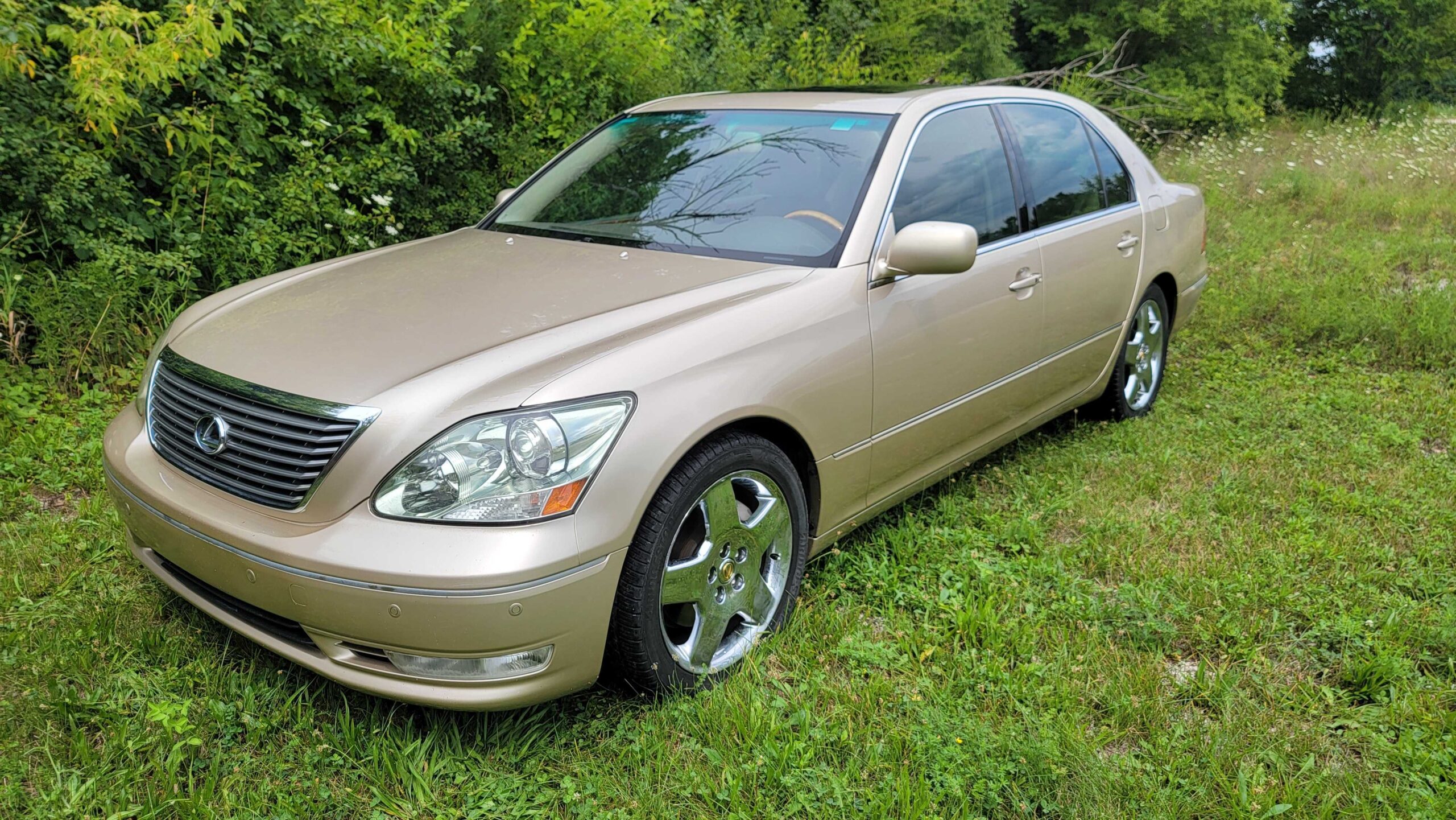 For Sale: 2005 Lexus LS430, Mystic Gold Metallic - Tanin JDM