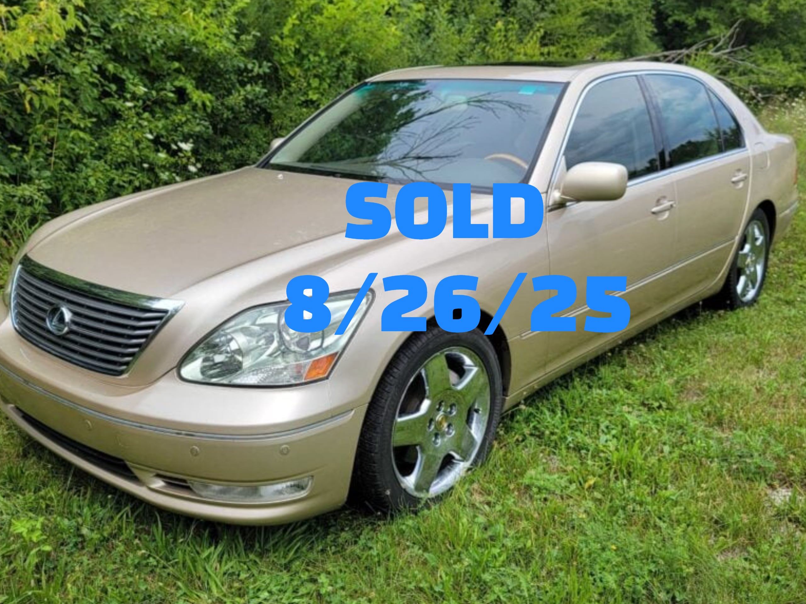 Lexus LS430 for Sale | Used Lexus LS430 Dealer | Tanin JDM
