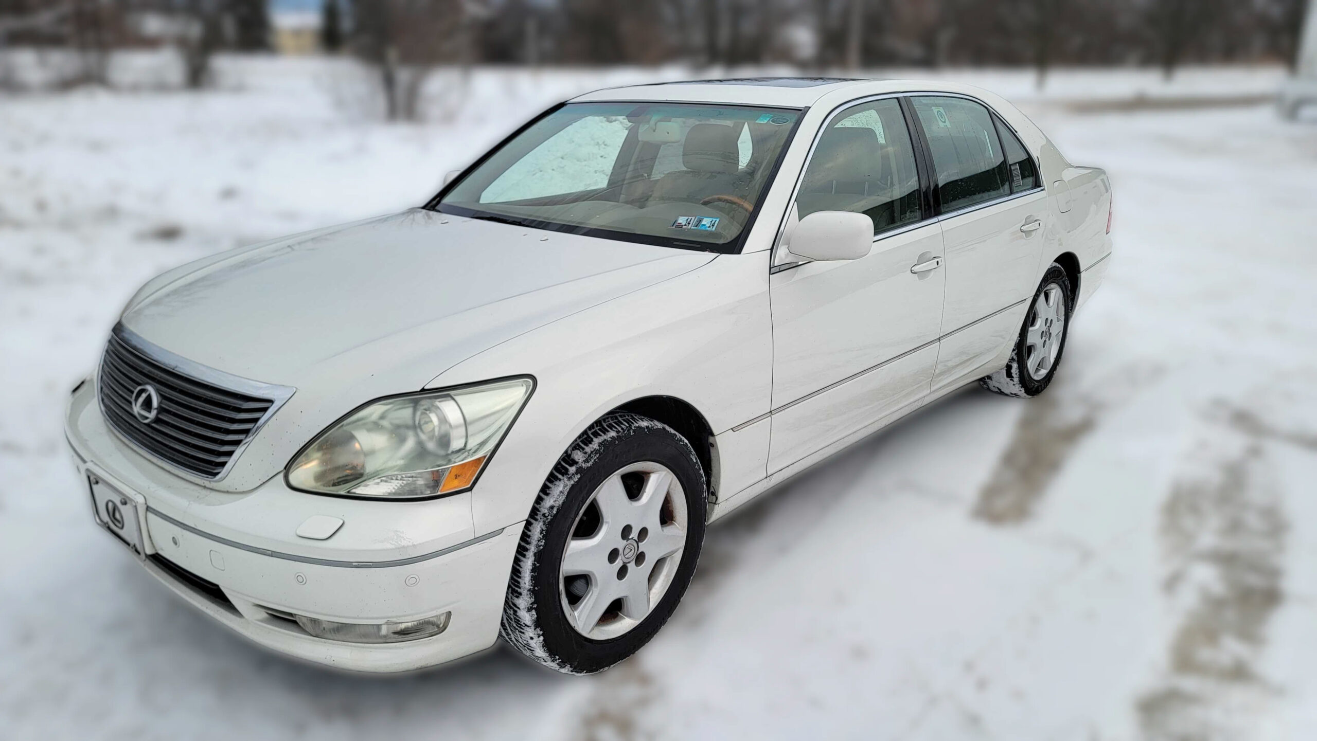 Lexus LS430 for Sale | Used Lexus LS430 Dealer | Tanin JDM