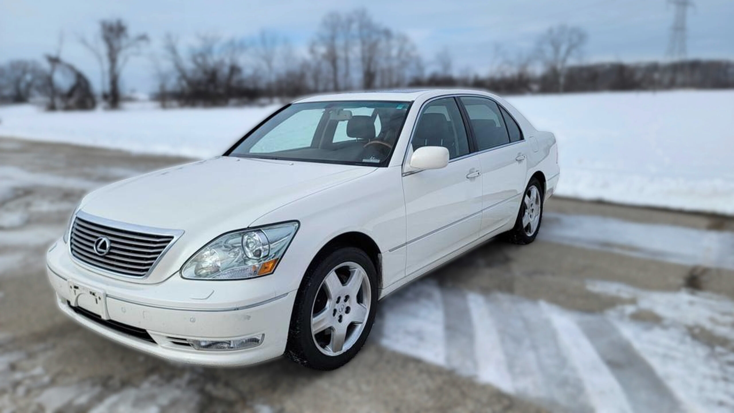 Lexus LS430 for Sale | Used Lexus LS430 Dealer | Tanin JDM