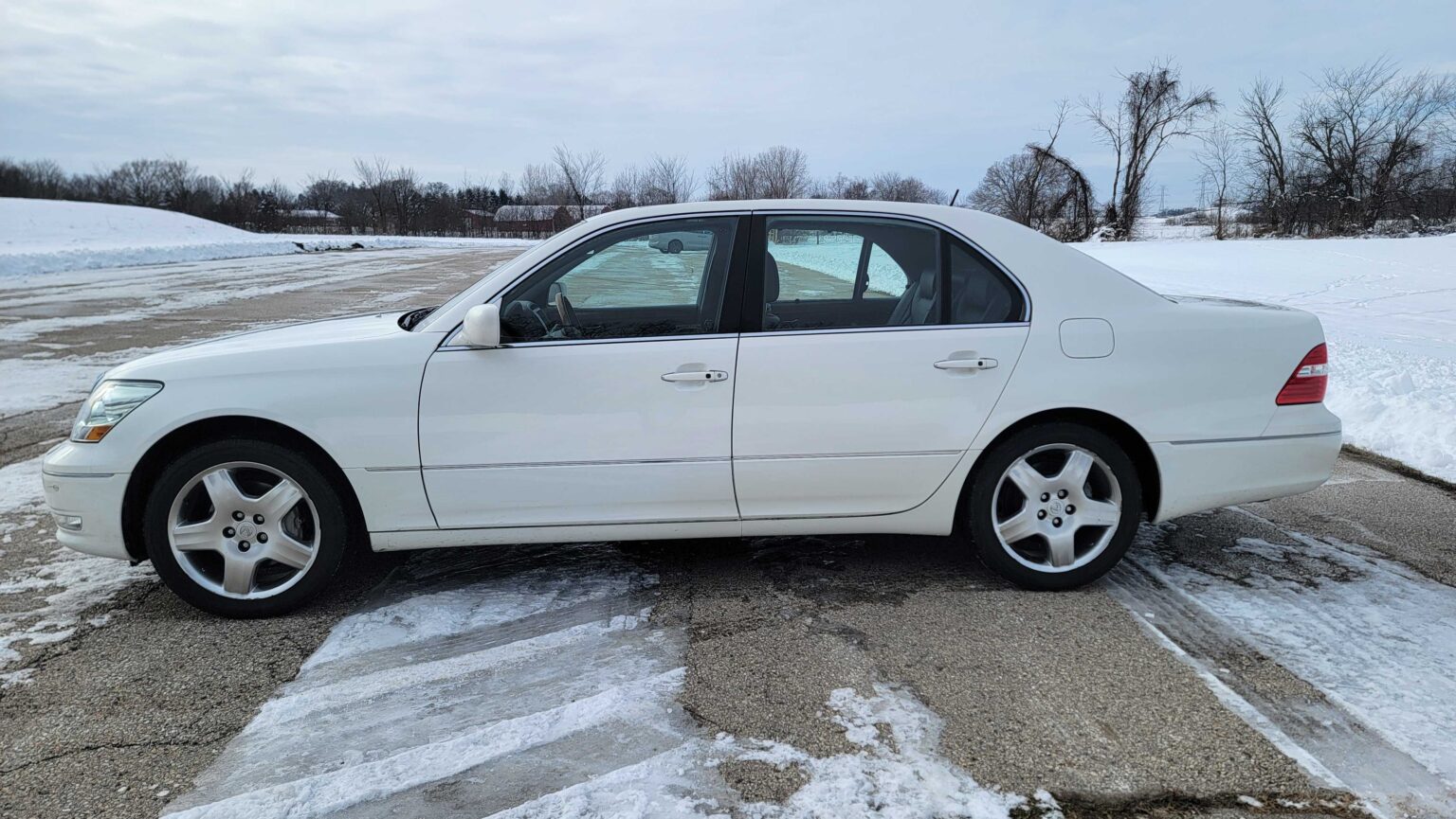 2005 Lexus LS430 Ultra – Crystal White Pearl | Tanin JDM