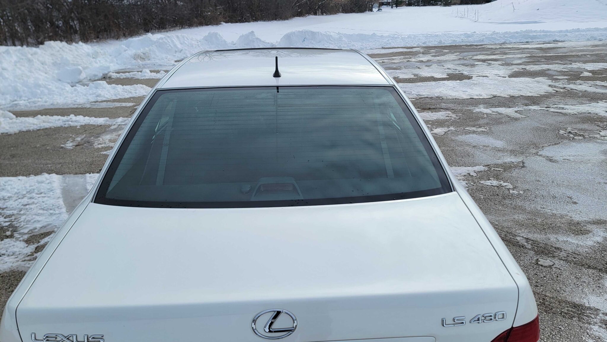 2005 Lexus LS430 Ultra – Crystal White Pearl | Tanin JDM